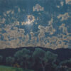 Dan Schultz Fine Art :: Ojai Artist :: Ojai Art Gallery :: Plein Air ...